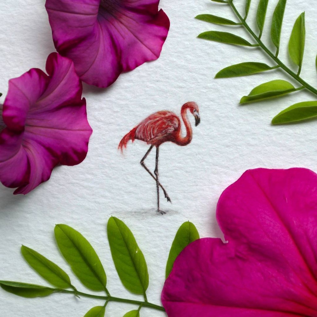 Tranh màu nước của Rachel Beltz • RGB