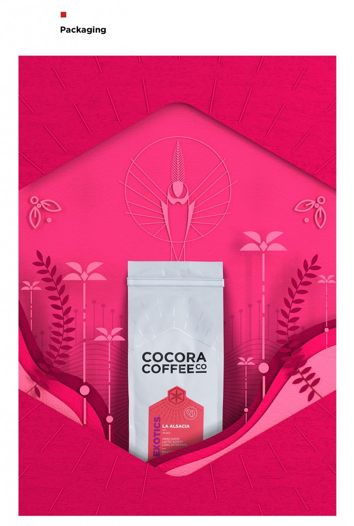 Thiết kế nhận diện thương hiệu và bao bì của nhãn hàng Cocora Coffee • RGB