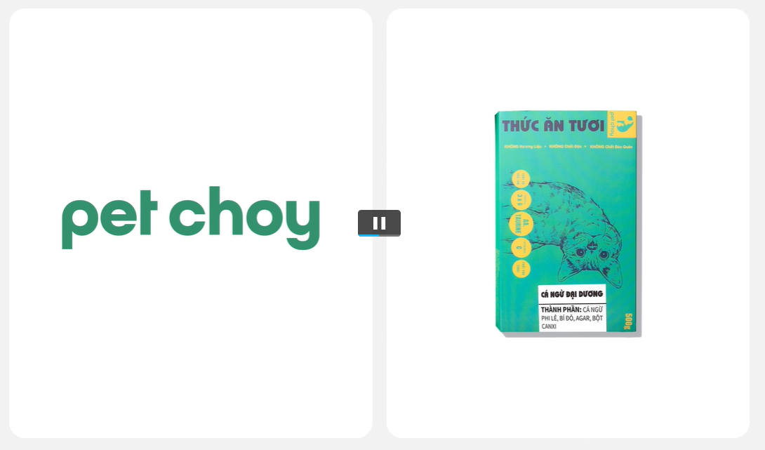 PetChoy – Bộ branding design đầy màu sắc “đẳng cấp thú cưng” - Queen ...