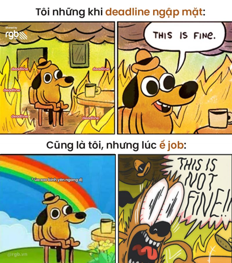 Tổng hợp meme cuộc sống designer & agency cho chuỗi ngày chạy deadline ...