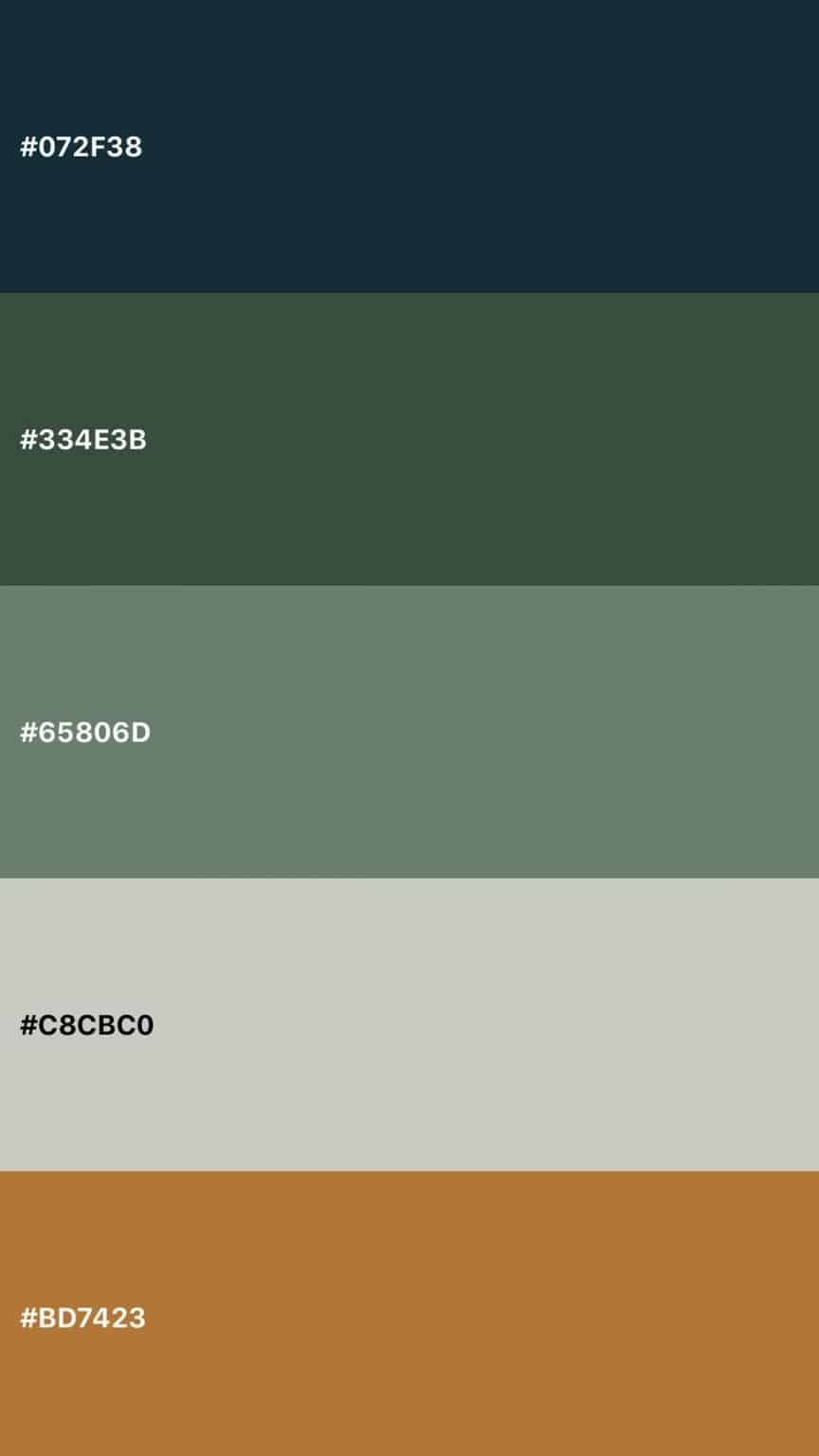 Thư viện color palette - các bảng phối màu cảm hứng gợi ý cho thiết kế ...